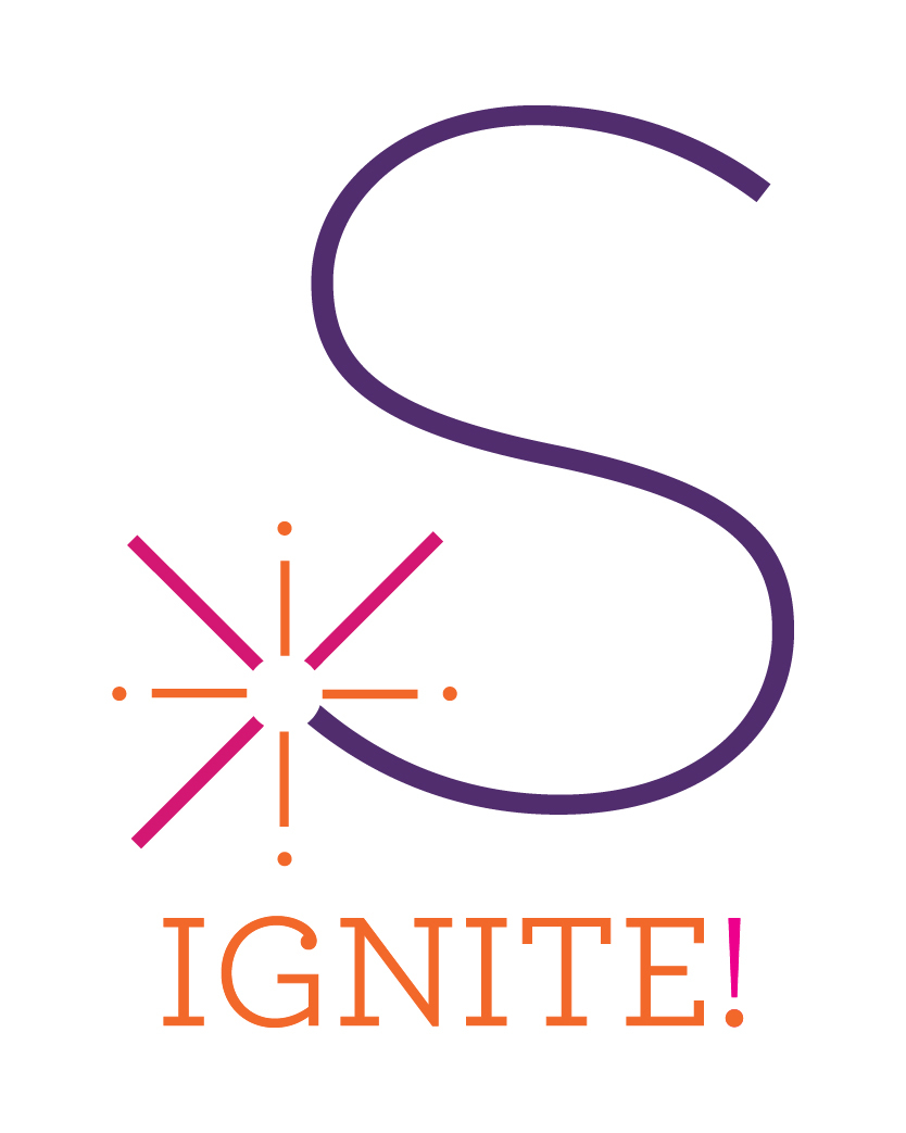 Ignite Program - Nonprofit Grant-Seeking Assistance Program - Spark Point