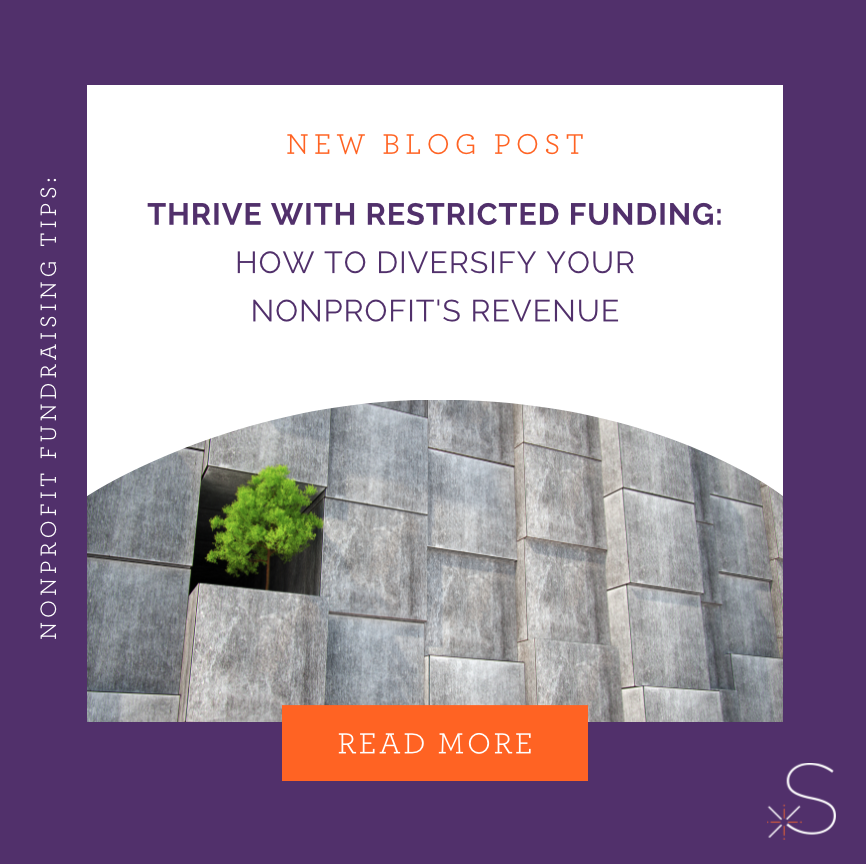 Thrive With Restricted Funding: How to Diversify Your Nonprofit's ...